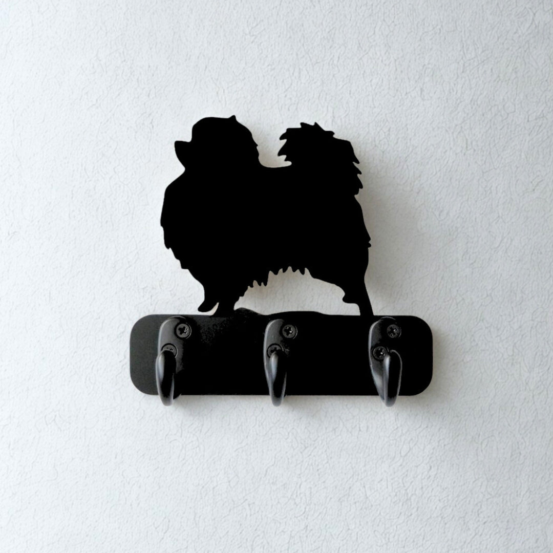 ポメラニアン – Pisae