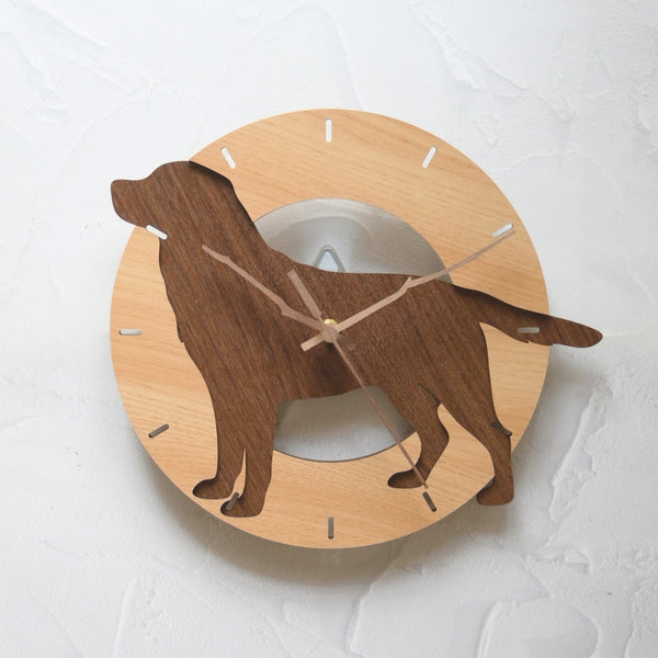 ラブラドール – Pisae