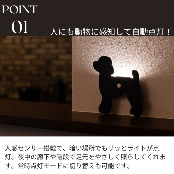 マルチーズ – Pisae
